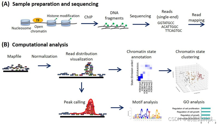易基因｜ChIP-seq分析方法：实用的工作流程和高级应用_chip seq motif-CSDN博客
