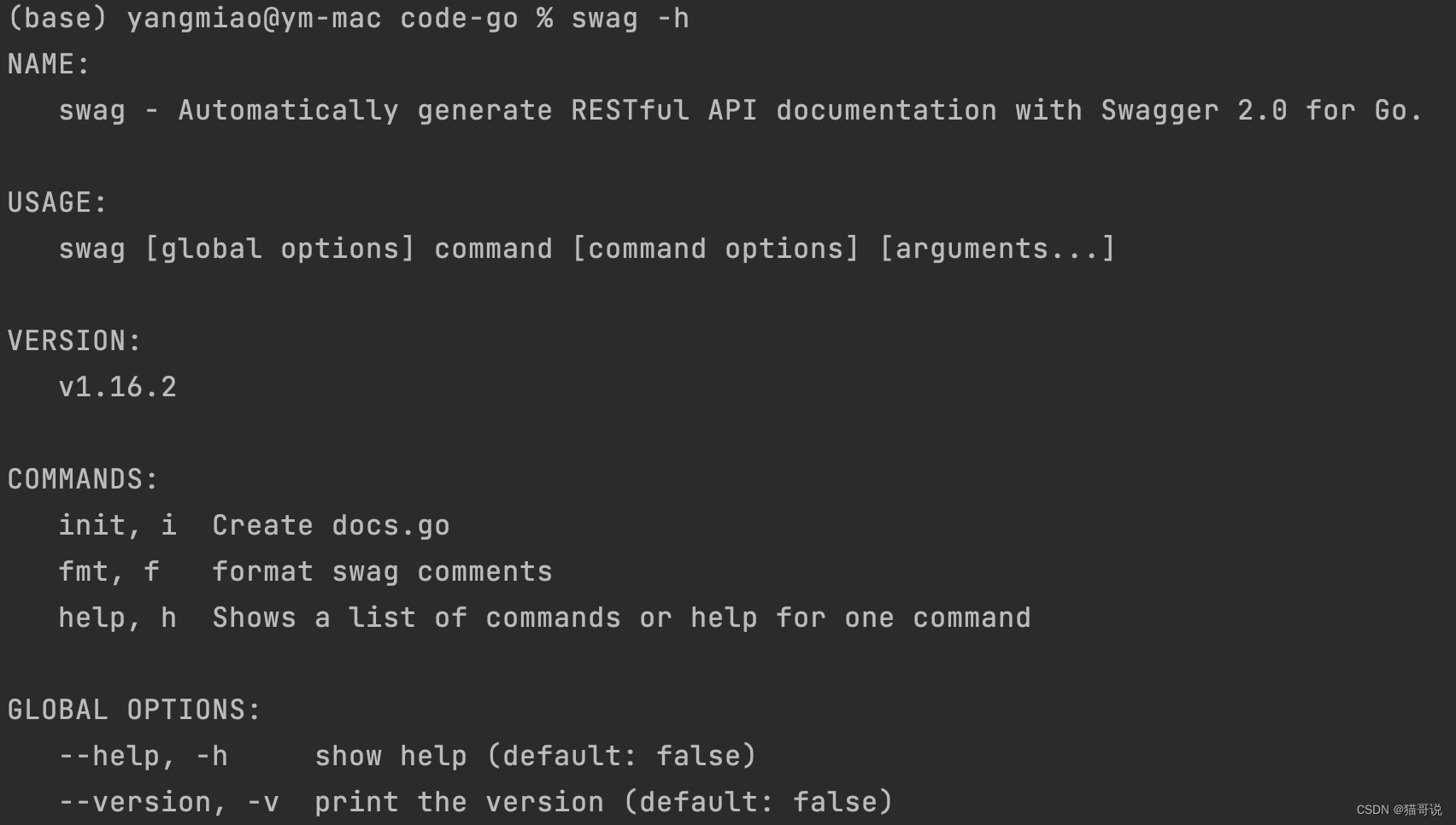 【go语言开发】swagger安装和使用_go swagger-CSDN博客