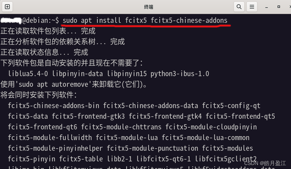 Linux Debian12安装fcitx5中文拼音输入法_debian fcitx5-CSDN博客