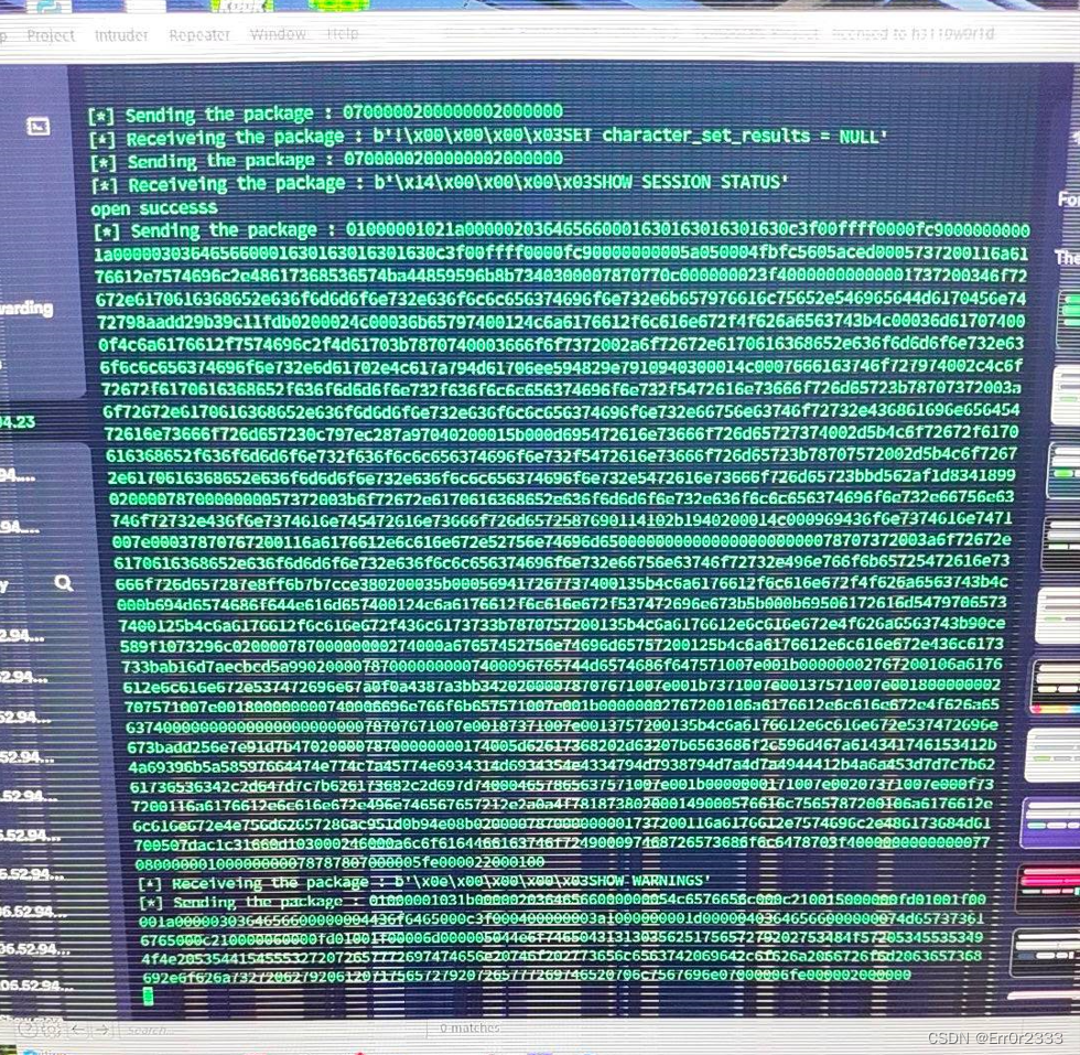 CISCN2024-Web方向题解_ciscn2024web-CSDN博客