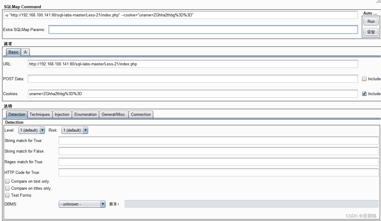sql注入 BurpSuite与sqlmap联动，sqlmap友好图形化界面解决办法 CO2(sqlmap插件) 使用_burpsqlmap插件-CSDN博客