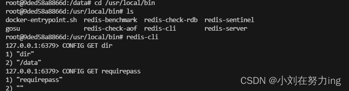 容器部署redis，无法加载配置文件问题Warning: no config file specified, using the default config. In order to ...