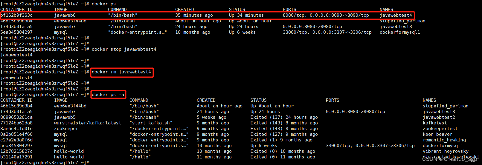 docker创建javaweb容器并部署应用-CSDN博客