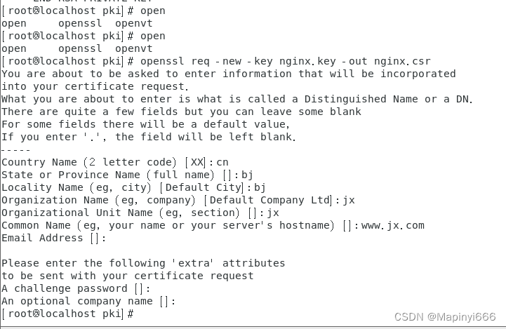 Nginx中的SSL加密配置与证书生成_nginx ssl证书生成-CSDN博客