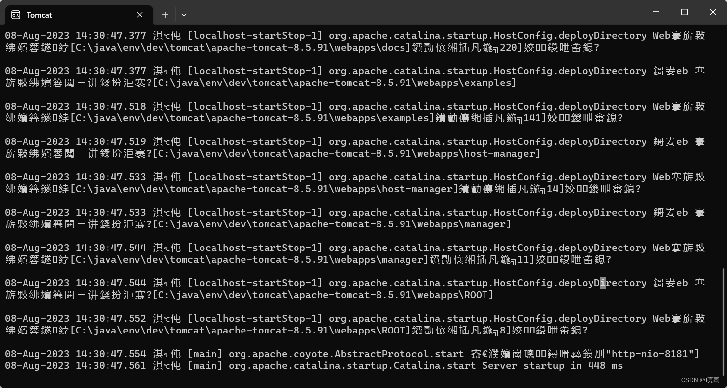 Tomcat环境配置与启动指南,-CSDN博客
