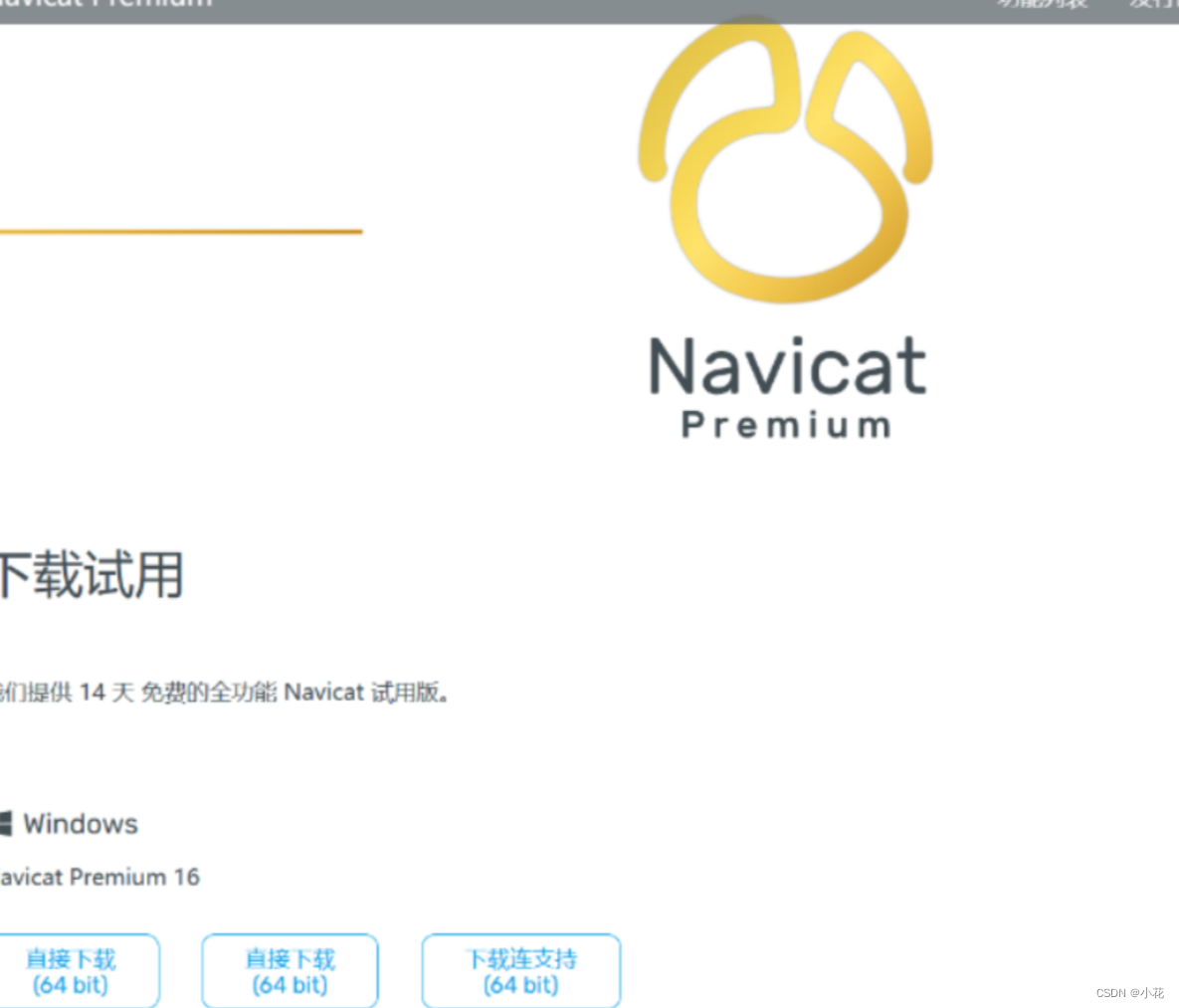 Navicat安装并创建数据表_navicat doris 建表-CSDN博客
