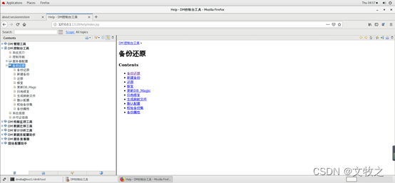 dm控制台工具console-CSDN博客