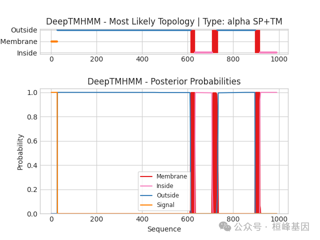 SEQ 9. α-螺旋和 β-桶跨膜蛋白的预测(DeepTMHMM)-CSDN博客