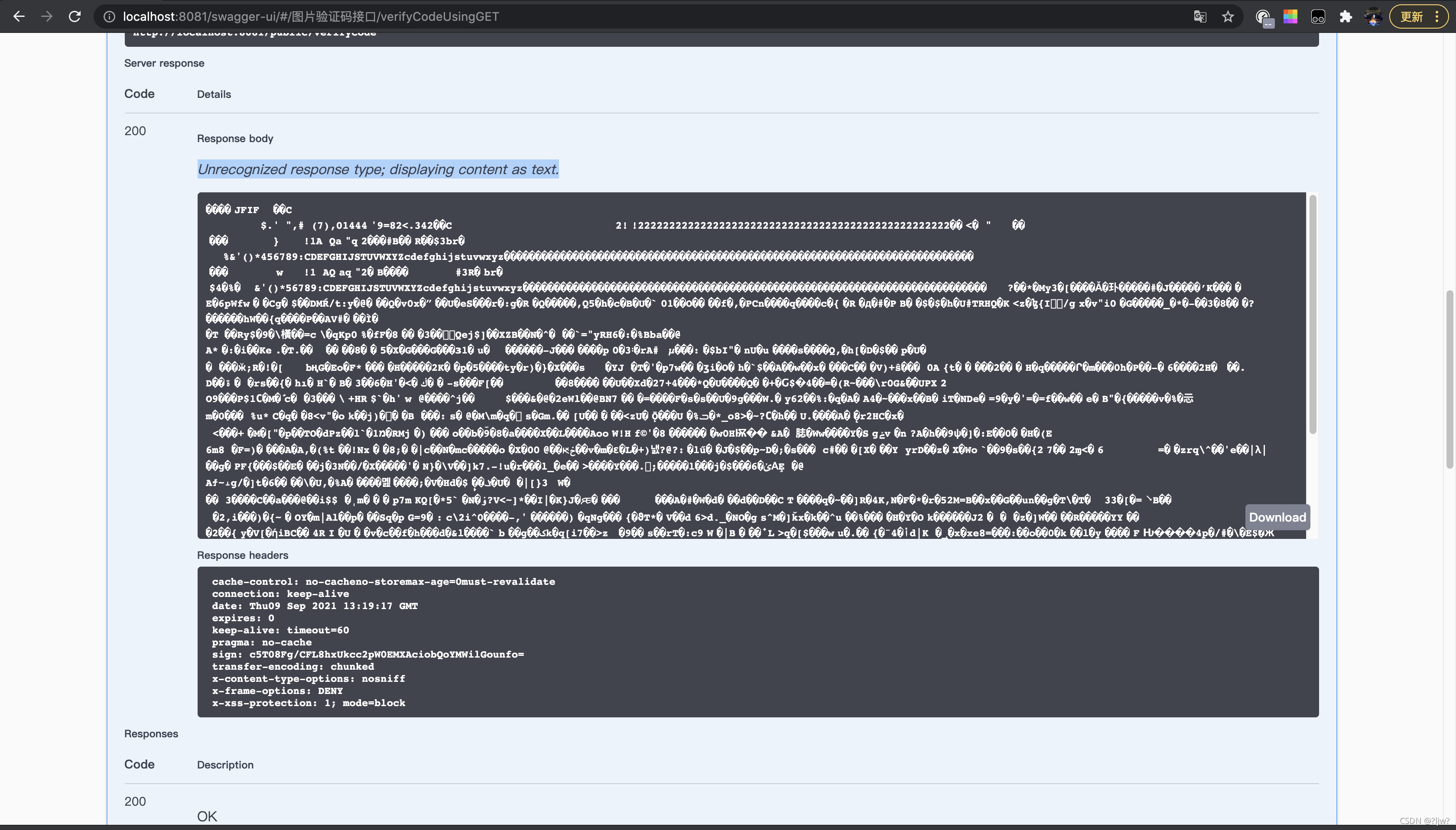Swagger UI 出现 Unrecognized response type； displaying content as text.这个问题_unrecognized response ...