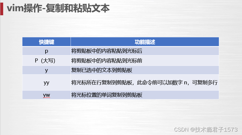 Linux vim最全面的使用教程-CSDN博客