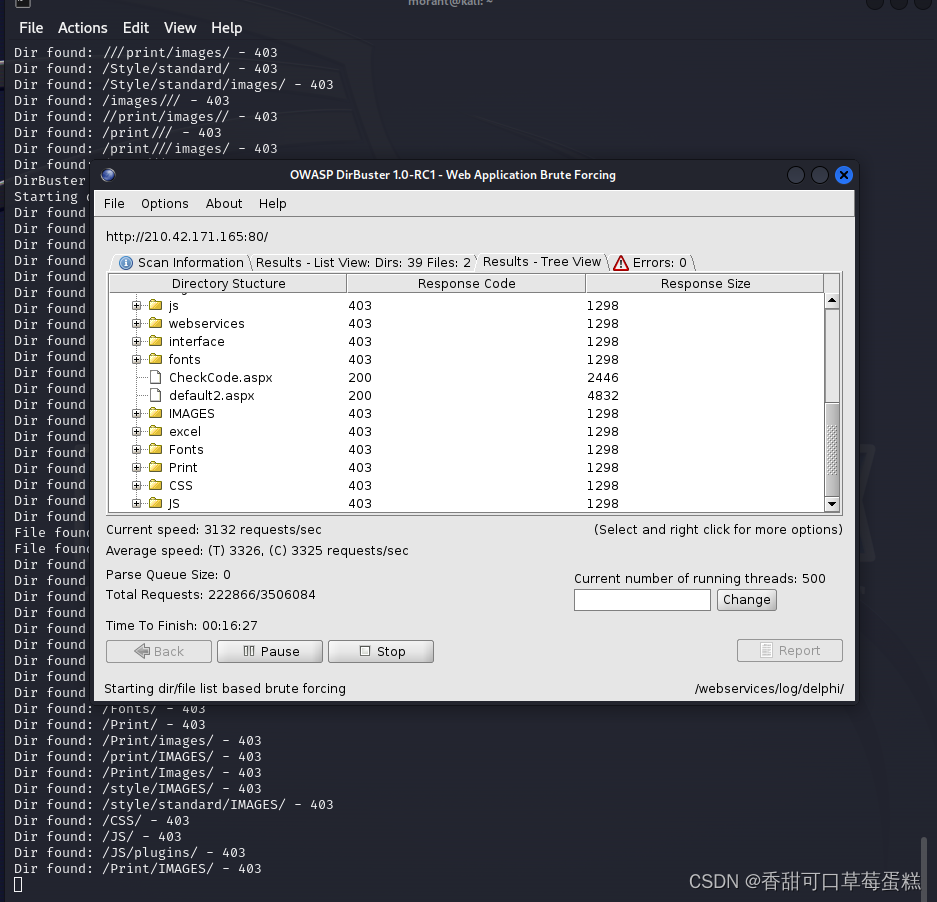 【附链接】Web 目录爆破神器：DirBuster 保姆级教程_dirbuster工具-CSDN博客