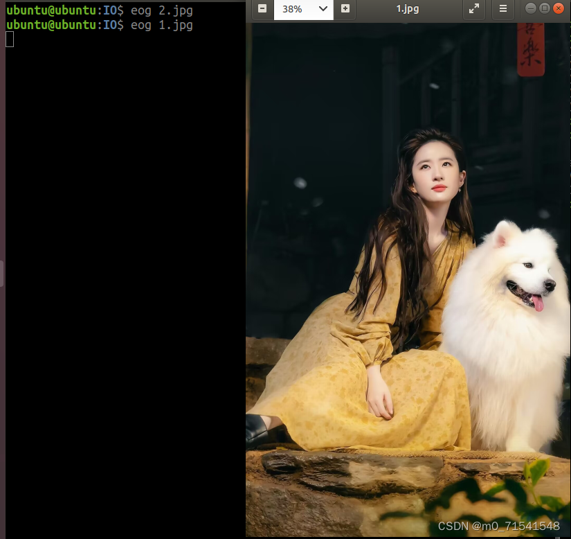 使用文件IO中 的read和write实现图片的拷贝_ioutil.write-CSDN博客