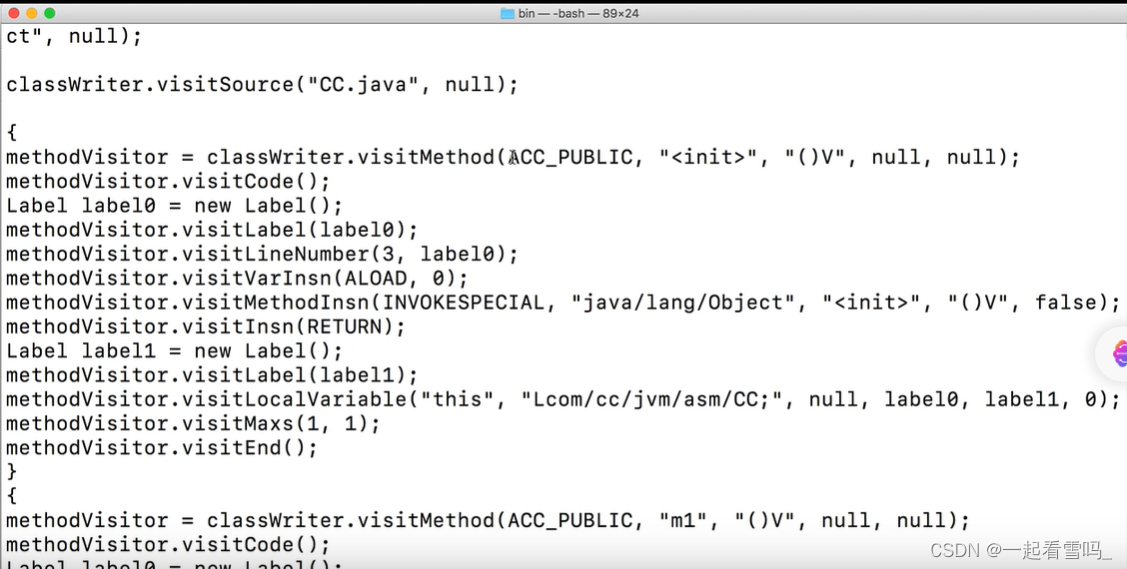 【JVM】ASM开发_jvm asm-CSDN博客