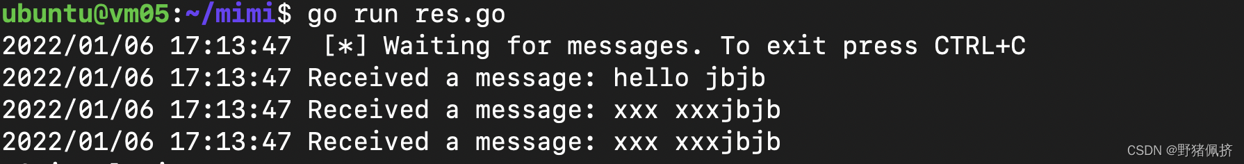 GO 操作RabbitMQ_amqp091-go-CSDN博客