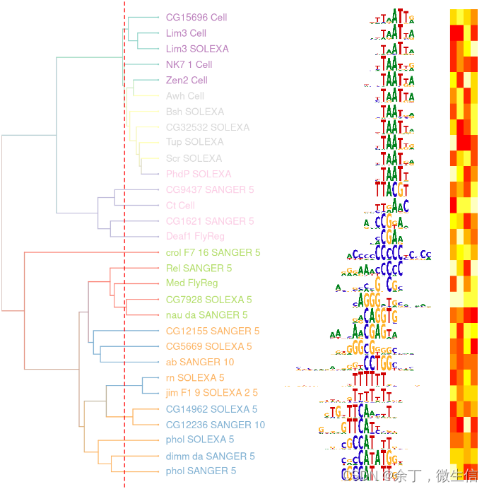 微生信喊你升级motifStack了_motif图怎么做-CSDN博客