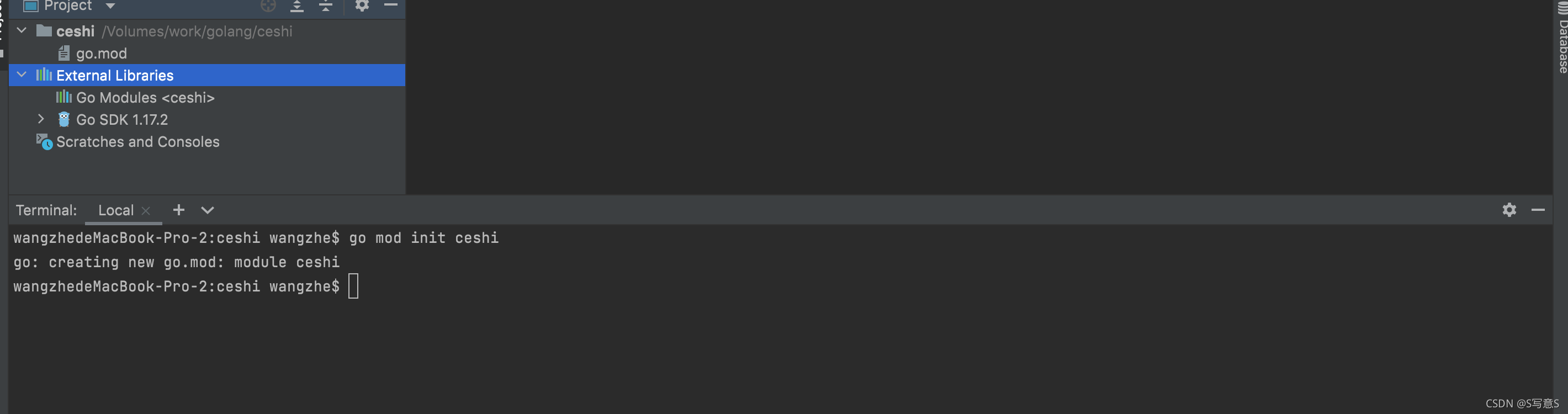 goland go mod /go moudel环境配置_怎么改gomod路径-CSDN博客