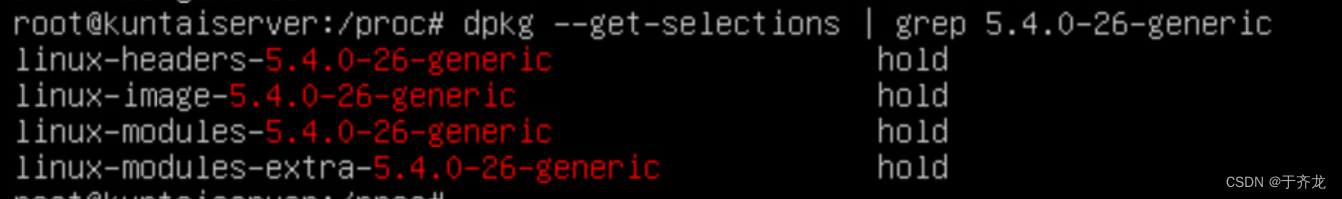 离线环境下安装NVIDIA驱动、CUDA（HUAWEI Kunpeng 920 + NVIDIA A100 + Ubuntu 20.04 ...