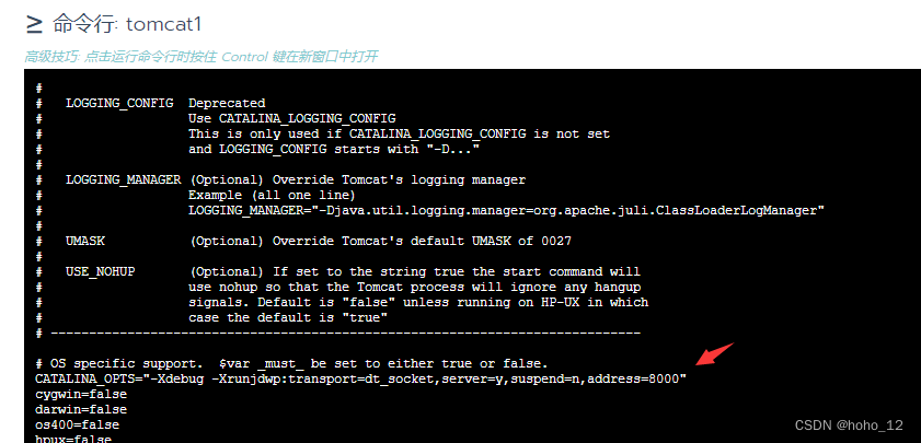 基于docker环境的tomcat开启远程调试_docker tomcat远程调试-CSDN博客