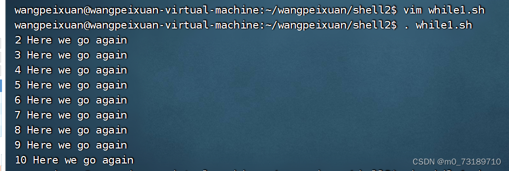 【linux】shell脚本 循环 echo输入输出 函数 shell调试_shell脚本循环写入echo-CSDN博客