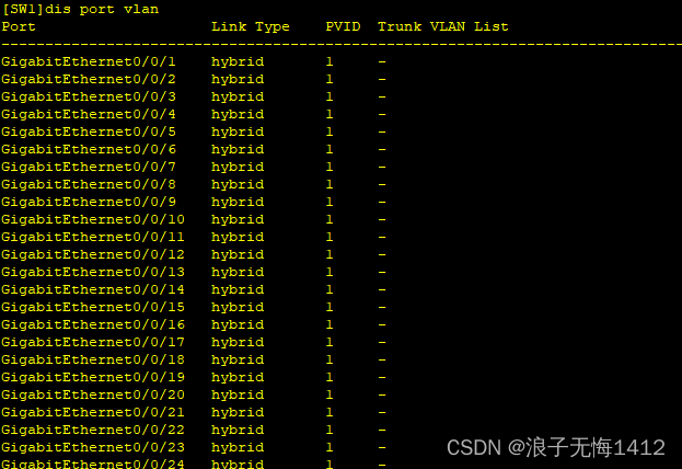 display查看命令_dis int link-info-CSDN博客