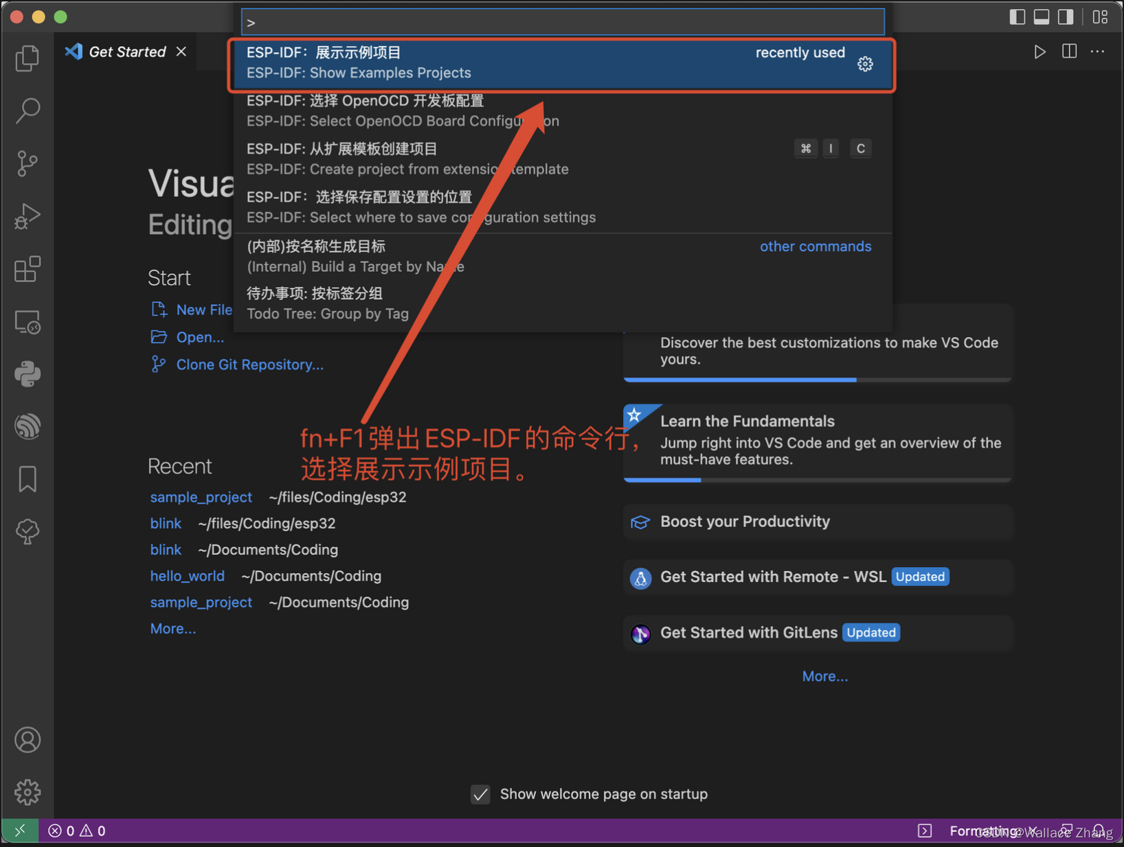 ESP32 + ESP-IDF ｜GPIO 01 - 驱动外部两个LED灯，以每300ms的时间间隔闪烁_esp32 idf时间调试函数-CSDN博客