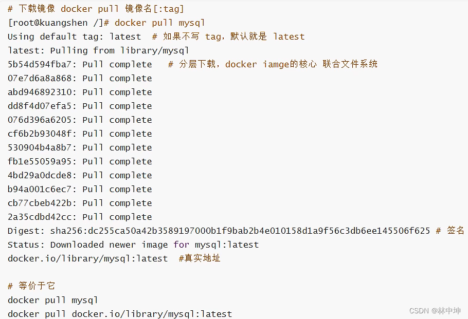 Docker命令详解与实践操作-CSDN博客