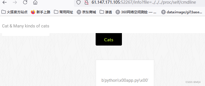 攻防世界-WEB-catcat-new_攻防世界catcat-new-CSDN博客