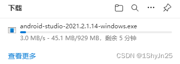 Android Studio 安装教程 下载最新版 Windows（详细步骤）2021.2.1版本最新版_androidstudio2021.2.1下载-CSDN博客