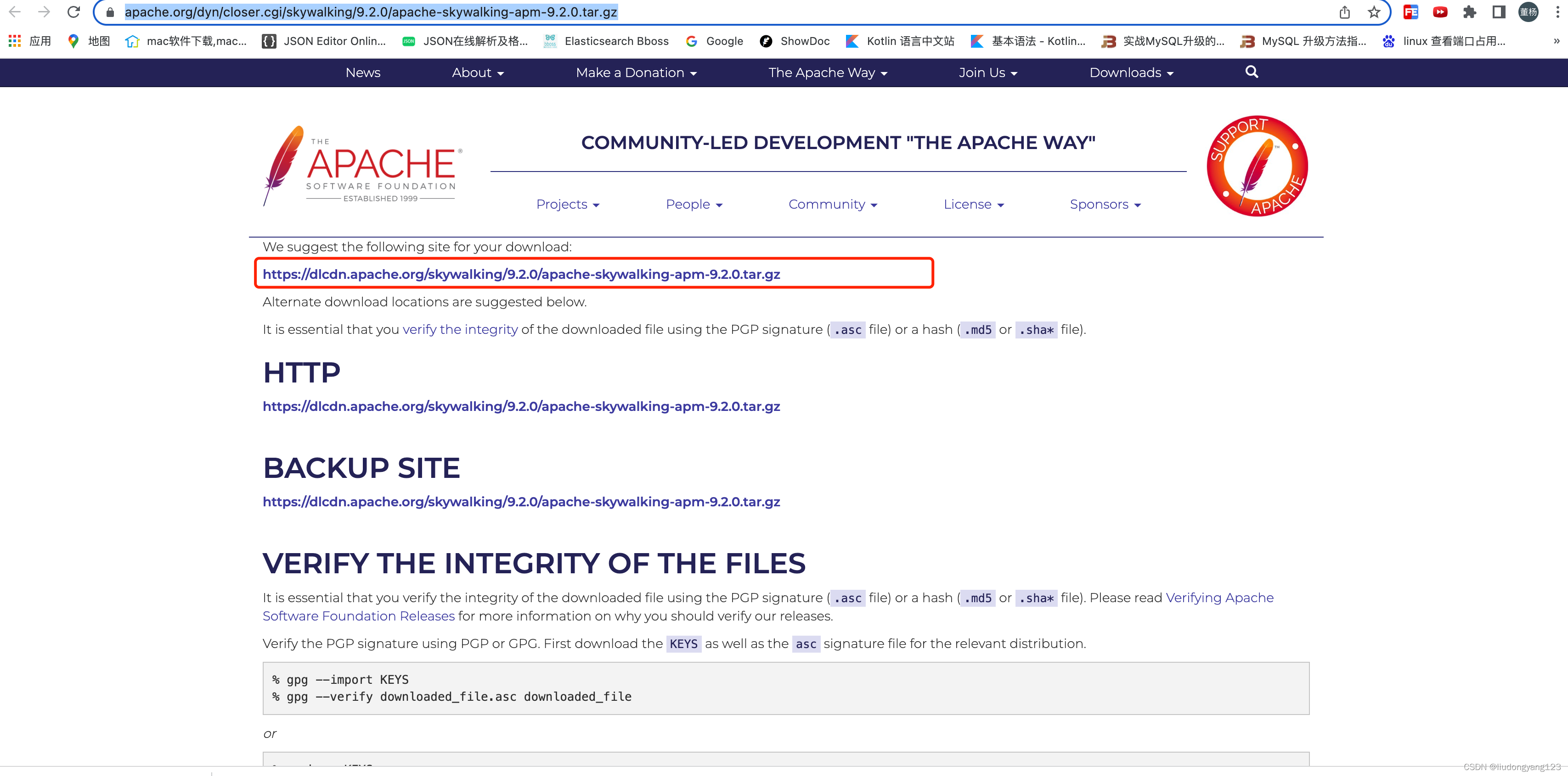 Apache SkyWalking 安装与配置指南-CSDN博客