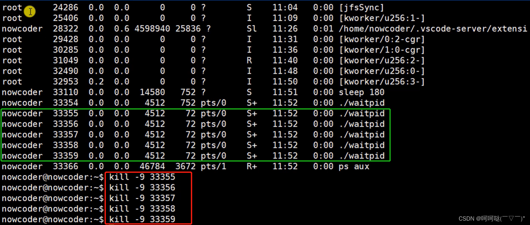 基于linux下的高并发服务器开发（第二章）- 2.9 waitpid 函数-CSDN博客