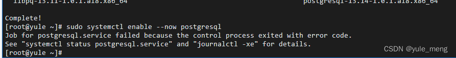 阿里云ECS安装postgresql_阿里云postgresql-CSDN博客