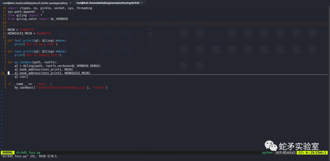 网络靶场实战-Qiling Fuzz实例分析-CSDN博客