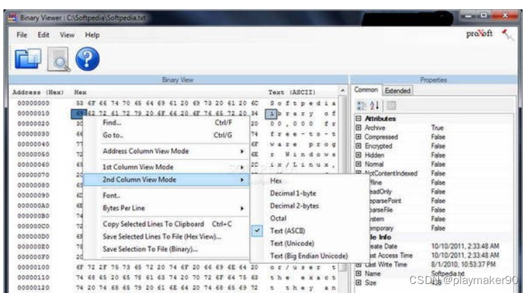 实现一个简易的C语言/C++ 二进制查看器。_binary viewer-CSDN博客