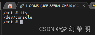 嵌入式Linux printf输出在串口与/dev/pts/0间切换_linux printf打印内容输出到了串口-CSDN博客