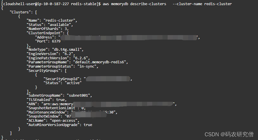 一文读懂基于Redis的Amazon MemoryDB数据库-CSDN博客
