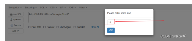 sql注入之联合查询，cms靶场，最详细的过程_sql注入cms-CSDN博客
