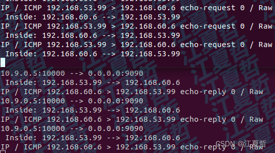 V*N Lab: The Container Version_v*n lab: the container version(seed labs)-CSDN博客