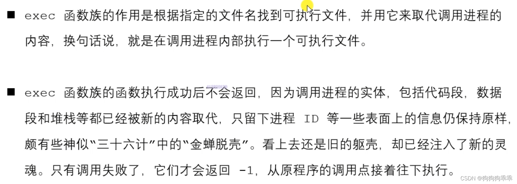 Linux exec函数族_linux exec -c-CSDN博客