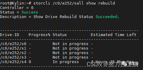 使用storcli/storcli64工具配置RAID-CSDN博客