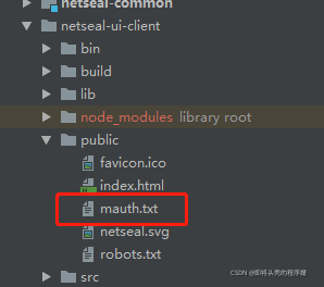 vue读取public下的txt文件_vue filereader读取public-CSDN博客
