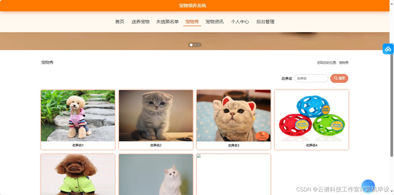 【java计算机毕业设计分享】宠物领养系统java Mysql Ssm Vue Html Maven送文档 Csdn博客