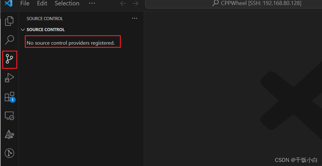 No source control providers registered_no terminal profile provider registered for id "ex-CSDN博客