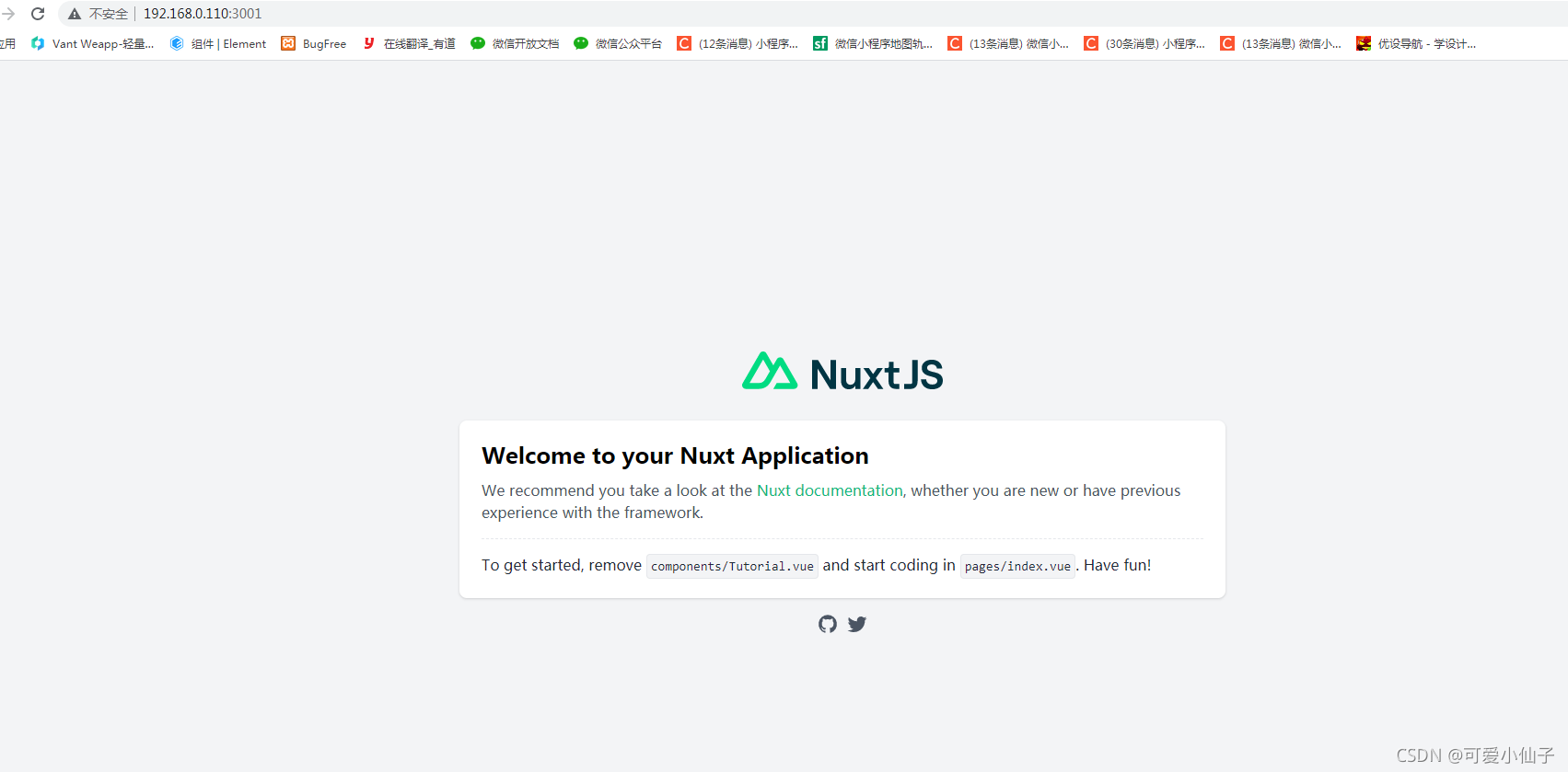 使用Vue CLI和Nuxt.js快速搭建前端项目-CSDN博客