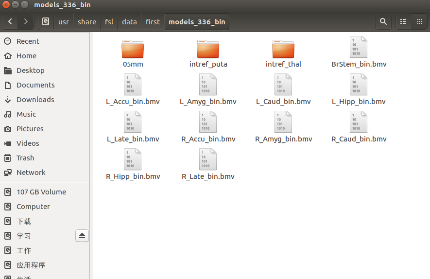 FSL脑图像处理教程-CSDN博客