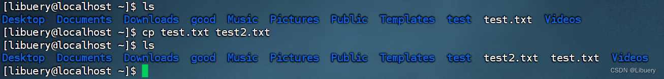 Linux基本命令_linux home目录-CSDN博客