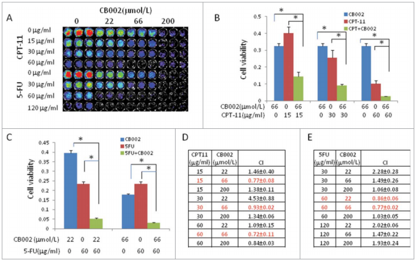 AbMole| ChemBridge全新抗肿瘤化合物筛选--恢复p53，抑制结肠癌-CSDN博客