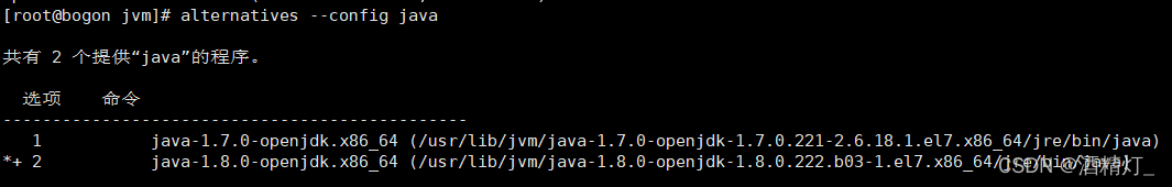 Linux上安装多个JDK，并随意切换版本_linux安装两个jdk-CSDN博客