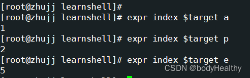 Linux 学习笔记（3） —— Shell 批处理脚本以及字符串的处理_linux 批处理-CSDN博客