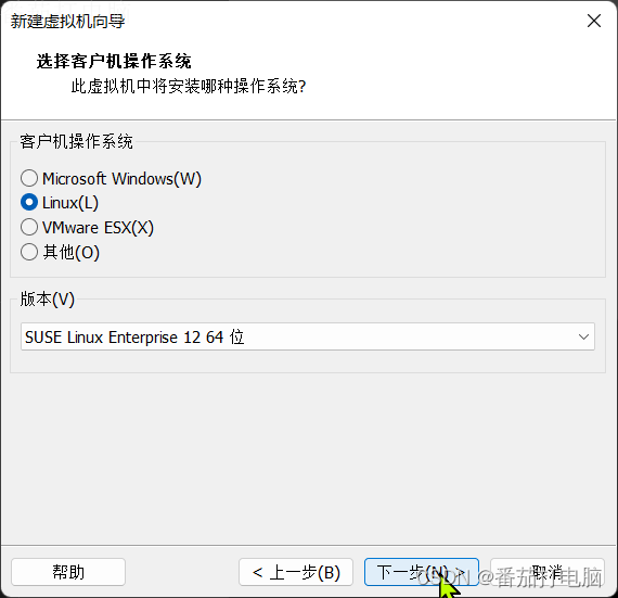 VMware workstation安装SUSE Linux Enterprise Server 12 SP5虚拟机并配置网络_vmware安装suseenterprise版本-CSDN博客