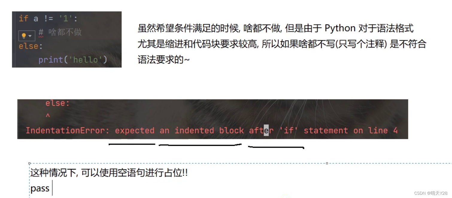 Python中的空语句以及对于条件语句的总结python 空语句 Csdn博客